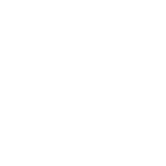 PerioView Dental Endoscope